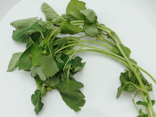 Recettes de Brèdes