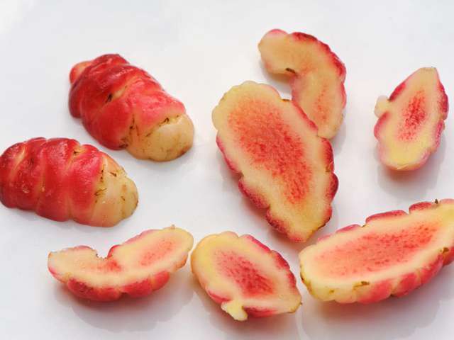 Recettes d'Oca du Pérou