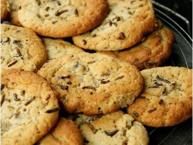 Défi Cuisine : Insectes