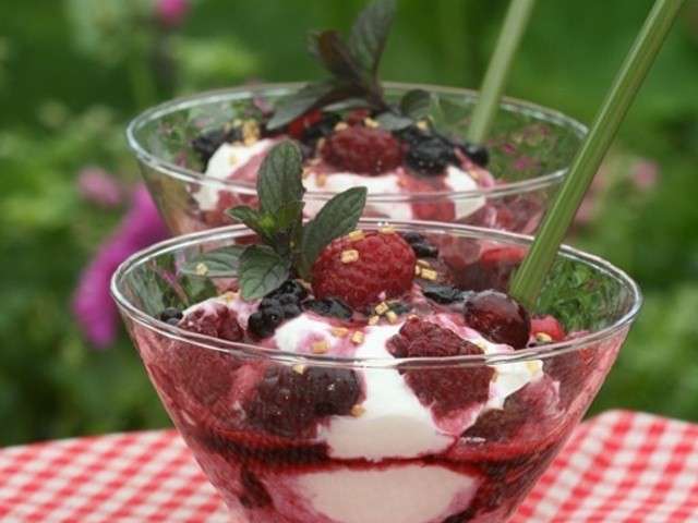 Les Meilleures Recettes de Trifles et Fruits
