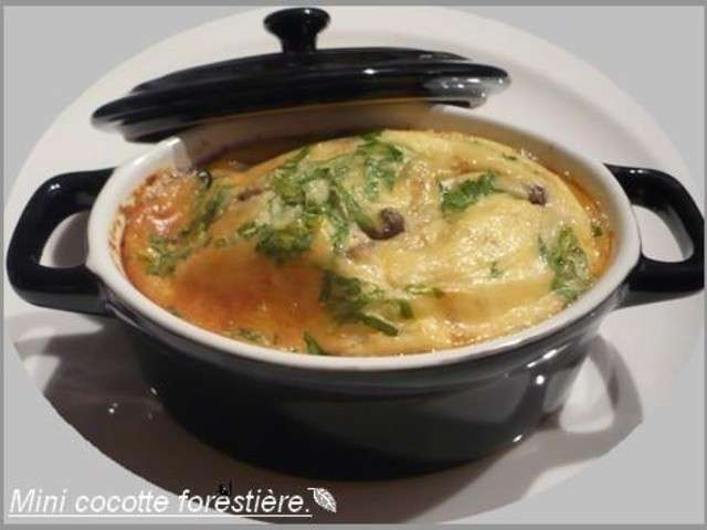 Recettes de Mini-Cocottes de Cuisine Sans Chichi : PagesCuisine