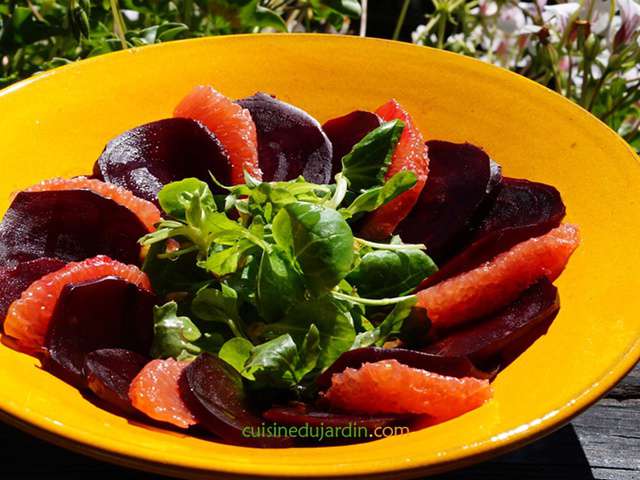 Recettes de Salade de betterave et Pamplemousse