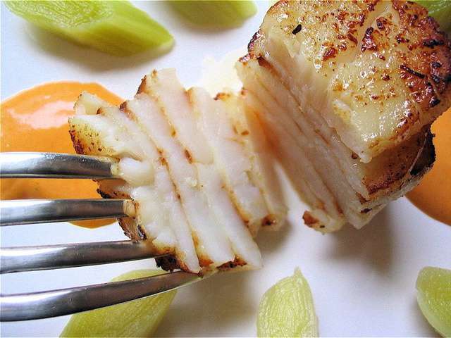 Recettes de Noix de Saint-Jacques de CulinoTests