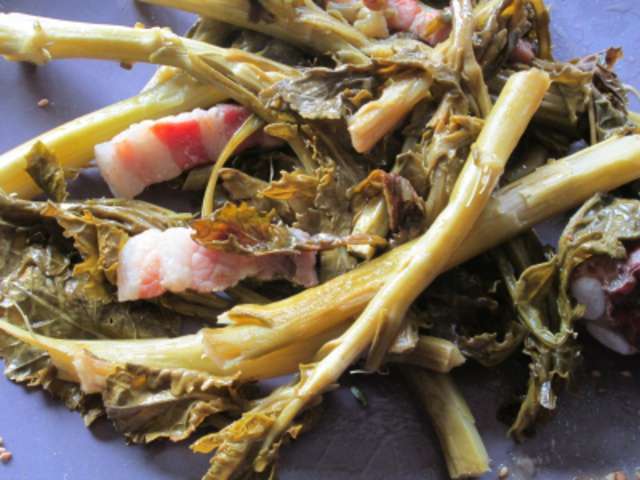 Recettes de Poitou de cultures bio