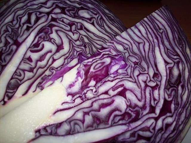 Recettes de Chou rouge de De la Casserole à l'Assiette