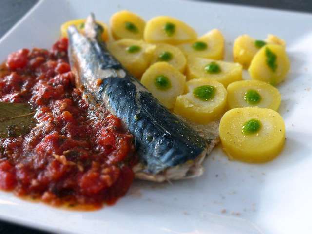 Recettes de Maquereaux