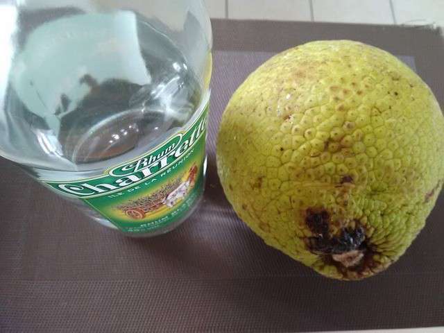 Les Meilleures Recettes de Rhum de Edith et sa cuisine