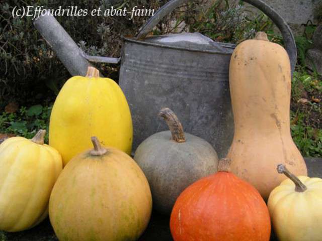 Recettes de Courge Acorn