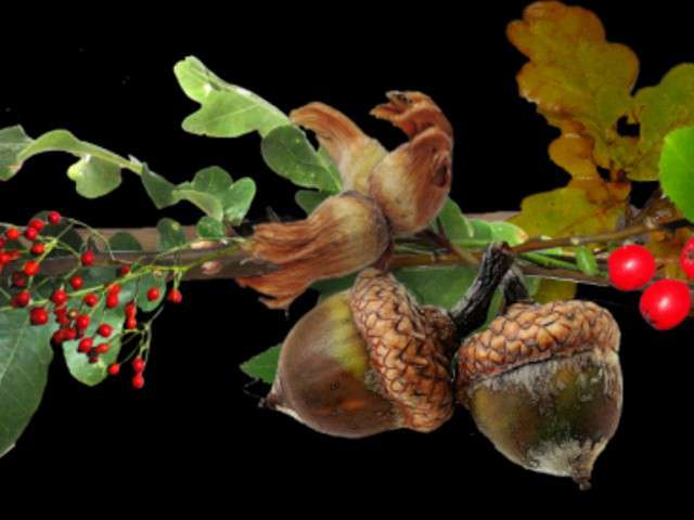 Recettes de Caramel Michoko