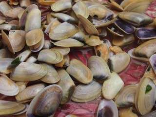 Les Meilleures Recettes de Tellines