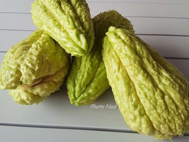 Recettes de Chayotte