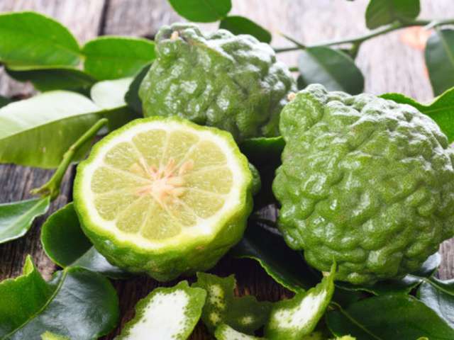 Les Meilleures Recettes de Combava et Crèmes