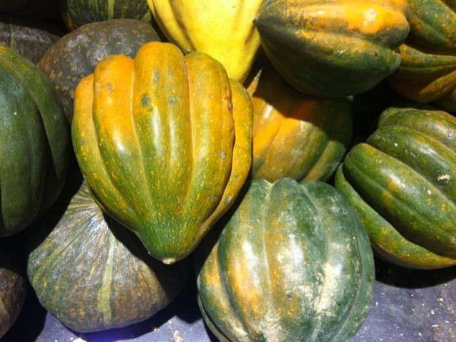 Recettes de Courge poivrée - 2