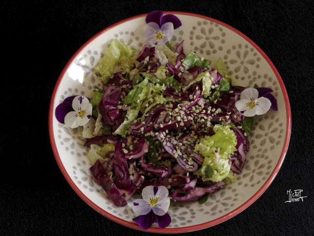 Recettes de Chou rouge de gaiabienetre