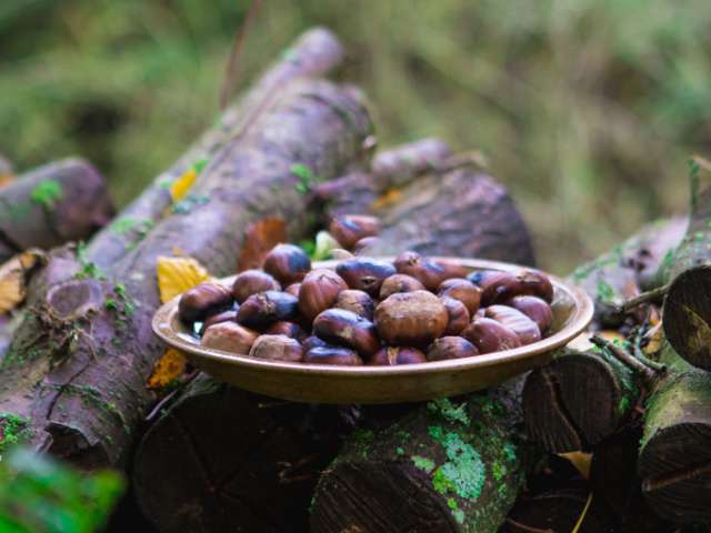 Recettes de Châtaigne de Gourmandiseries
