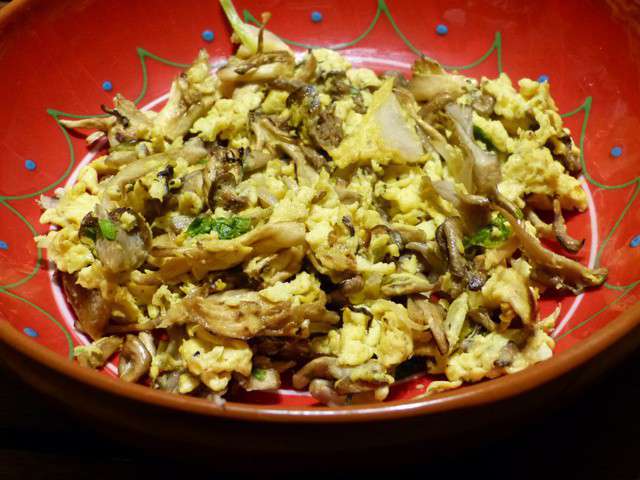 Recettes de Pleurotes de Gourmicom