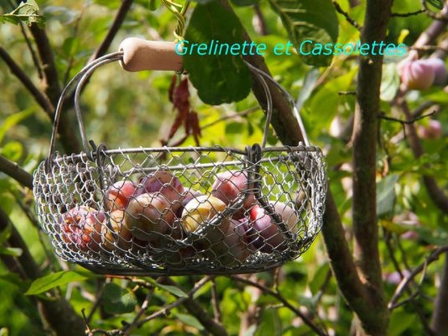 Recettes de Prunes de A à Z