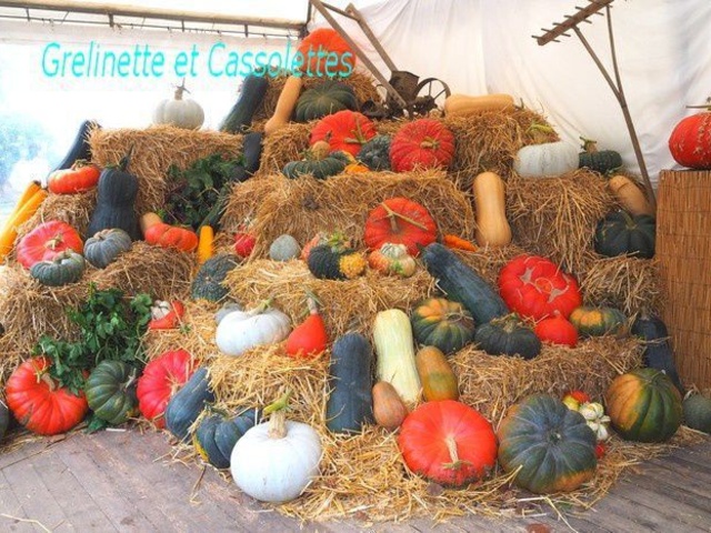 Recettes de Citrouille de Grelinette et Cassolettes