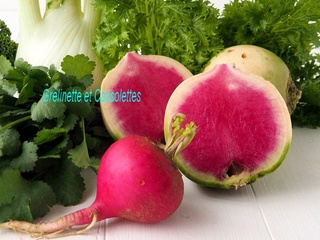 Recettes de Radis