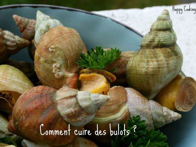 Recettes de Bulots - 2