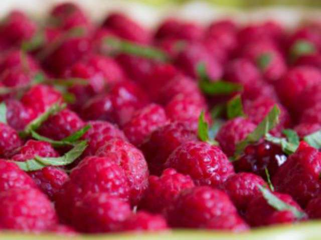 Recettes de Framboises de Histoires de fruit