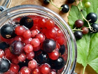 Recettes de Cassis et Groseilles