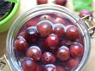 Recettes de Groseilles et Maquereaux