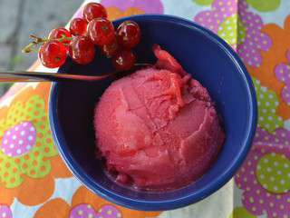 Recettes de Sorbets et Groseilles