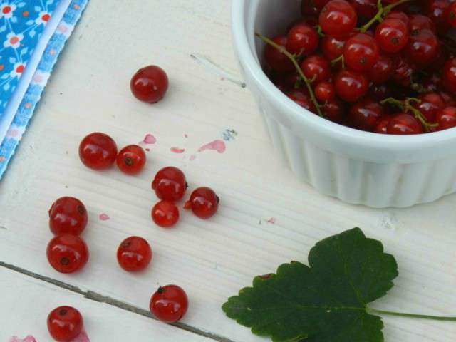 Recettes de Groseilles de je peux lécher la cuillère?
