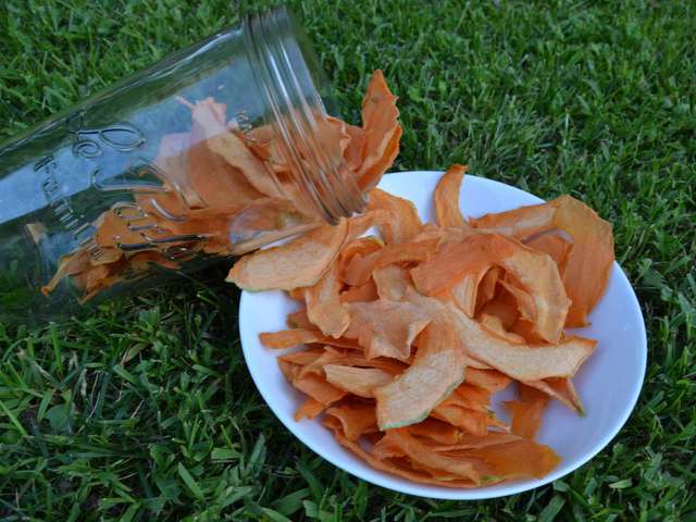 Recettes de Chips et Melon