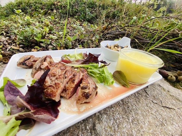 Recettes de Filets de canette
