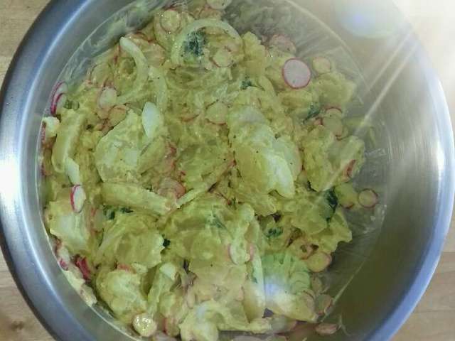 Recettes de Salade froide