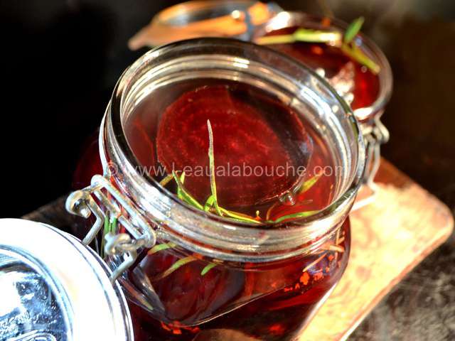 Recettes de Betteraves