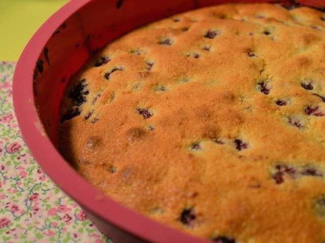 Recettes de Gâteau Coco de l'Ornithorynque Chafouin