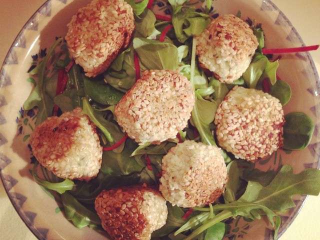 Recettes de Menthe de l'Ornithorynque Chafouin