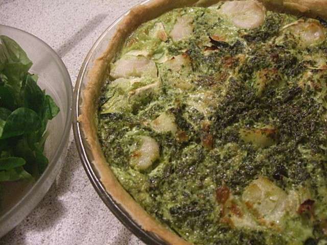 Recettes de Quiche au poisson