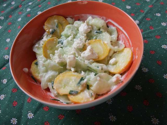 Recettes de Concombre et Courgettes - 4
