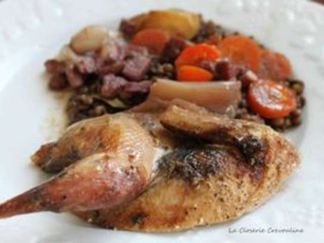 Recettes de Perdrix - 2