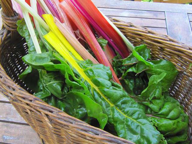 Les Meilleures Recettes de Blettes et Salades