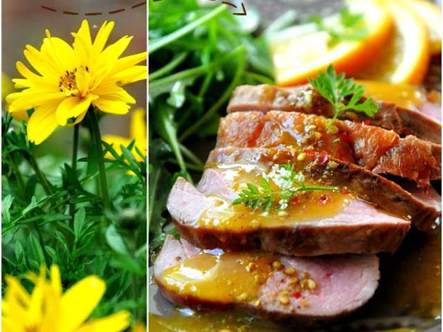 Recettes de Bigarade et Canard