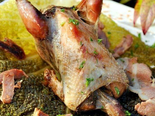 Recettes de Perdrix de La cuisine de Doria