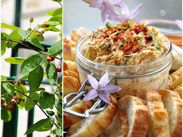 Recettes de Cuisine express de La cuisine de Doria