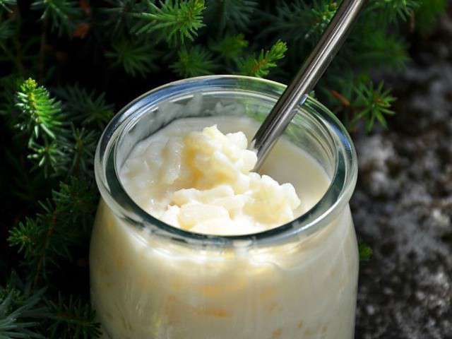 Recettes de Sirop d'agave et Riz au Lait