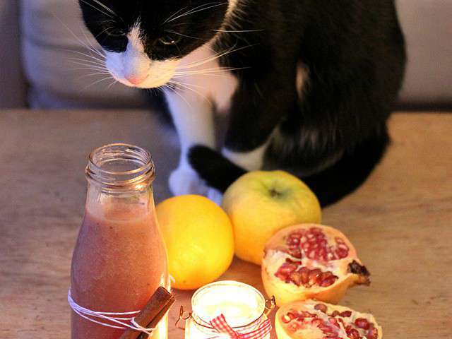 Recettes de Jus de Fruits de La cuisine bio de Miss Pat'