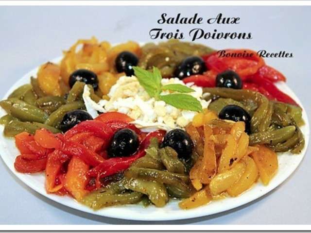 Les Meilleures Recettes de Salade aux poivrons