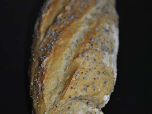 Recettes de Pavot de La cuisine des gourmandes