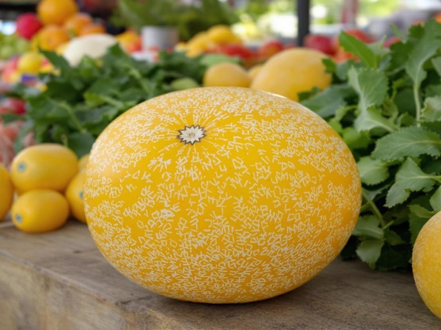 Recettes de Melon de La cuisine du farfadet
