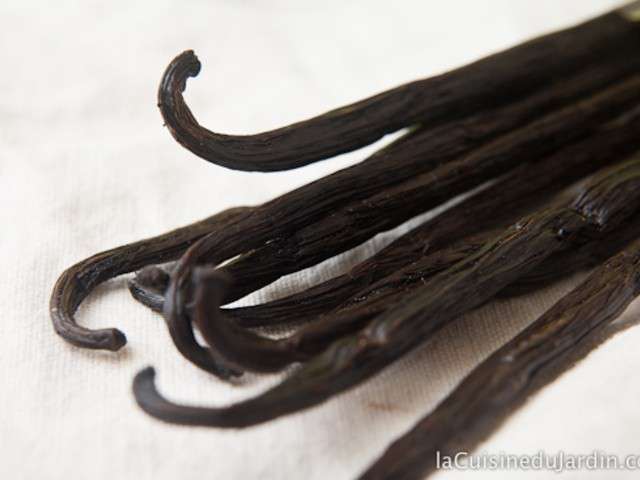 Recettes de Vanille de La Cuisine du Jardin / Blog
