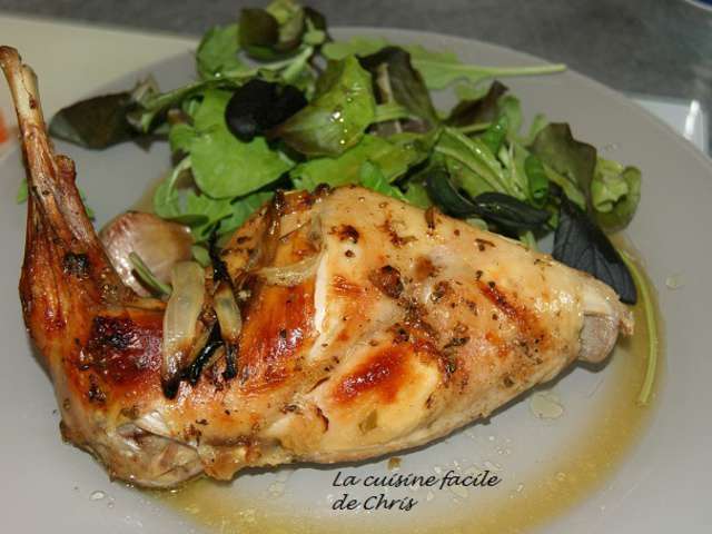 Recettes de Lapin rôti