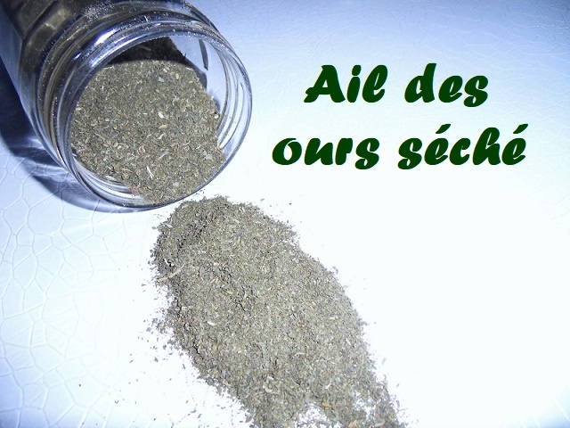 Recettes de Condiment de La cuisine sauvage au fil des saisons